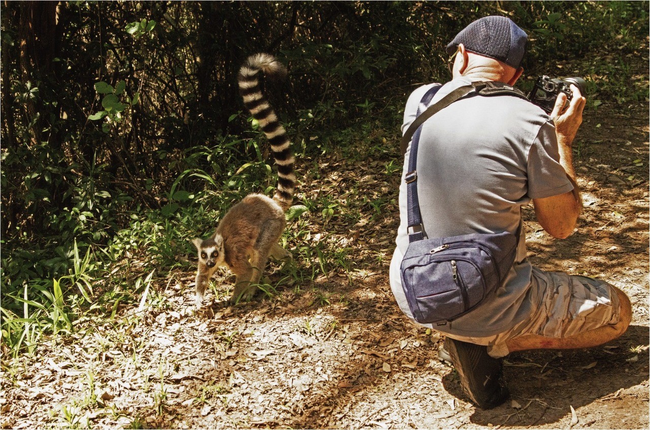 Monkeyland-KZN - The Hidden Forest Wildlife Sanctuary in Ballito ...