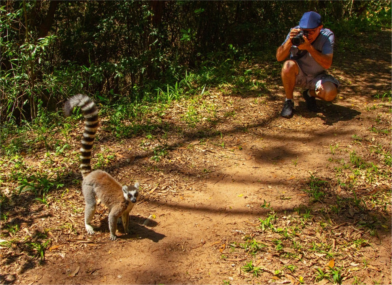 Monkeyland-KZN - The Hidden Forest Wildlife Sanctuary in Ballito ...